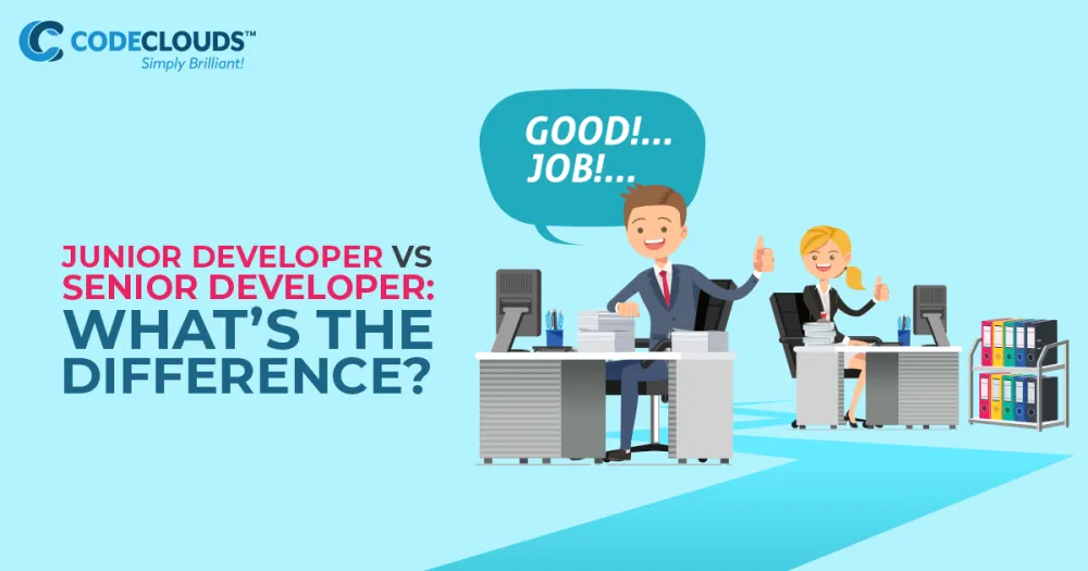 Junior and Senior Developer: What’s the Difference?